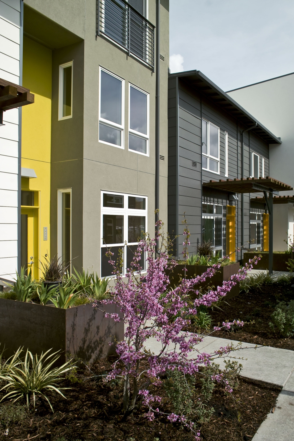 Tassafaronga Village | David Baker Architects