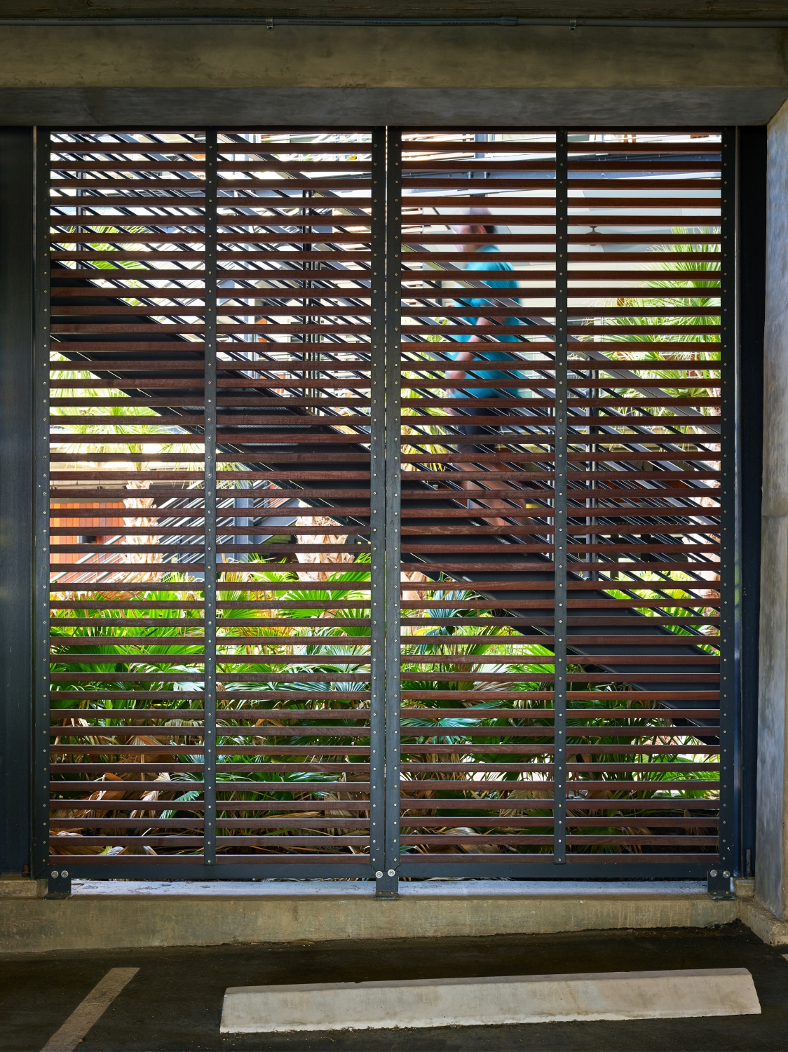 Williams Terrace | David Baker Architects