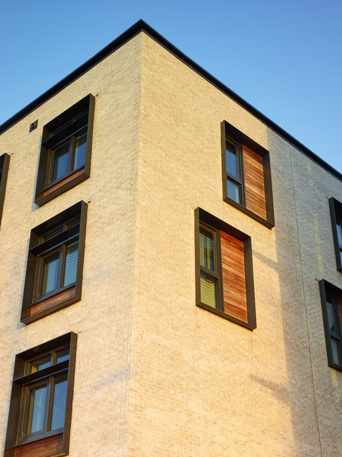 Williams Terrace | David Baker Architects